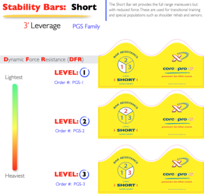 About Stability Bars – CentriForce Central Body Fitness